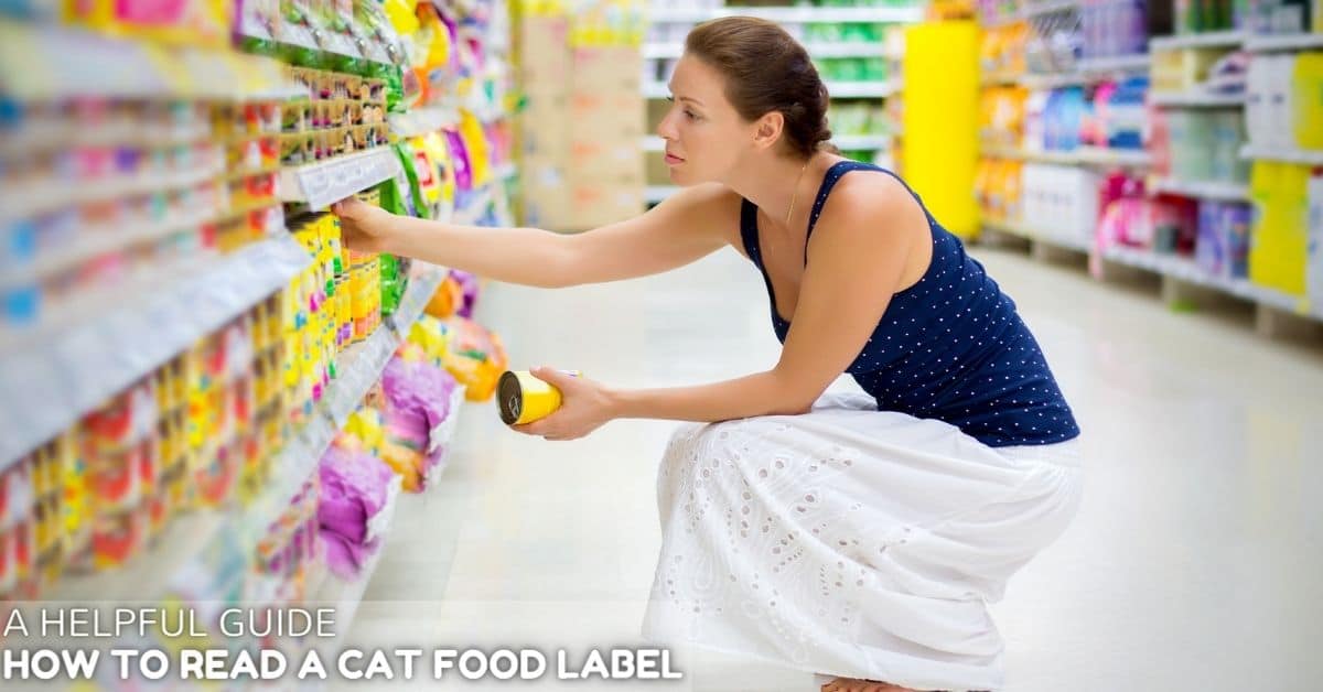 How to Read a Cat Food Label: A Helpful Guide - Simply Cat Care