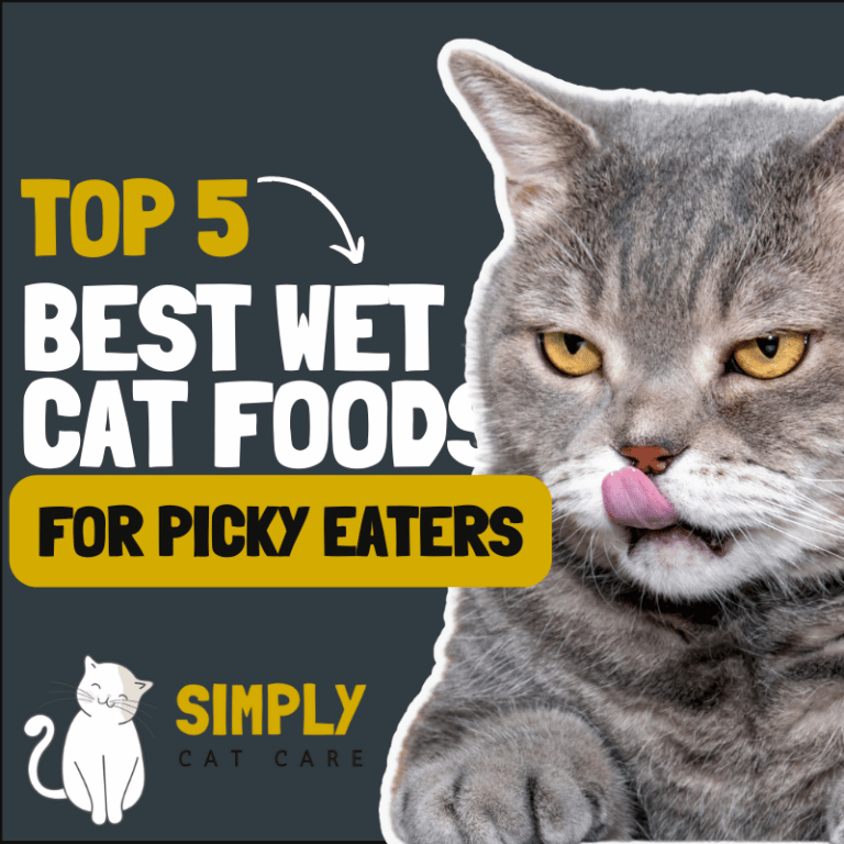 3 Best Cat Foods Without Fish Your Cat Will Love
