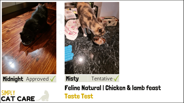 Honest Feline Natural Cat Food Review 2026 - Simply Cat Care