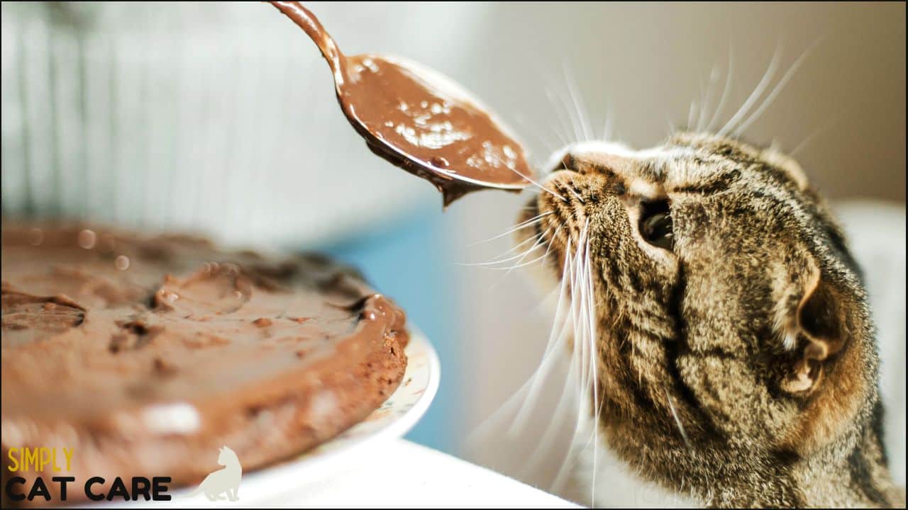 17 Foods That Are Poisonous To Cats - Simply Cat Care