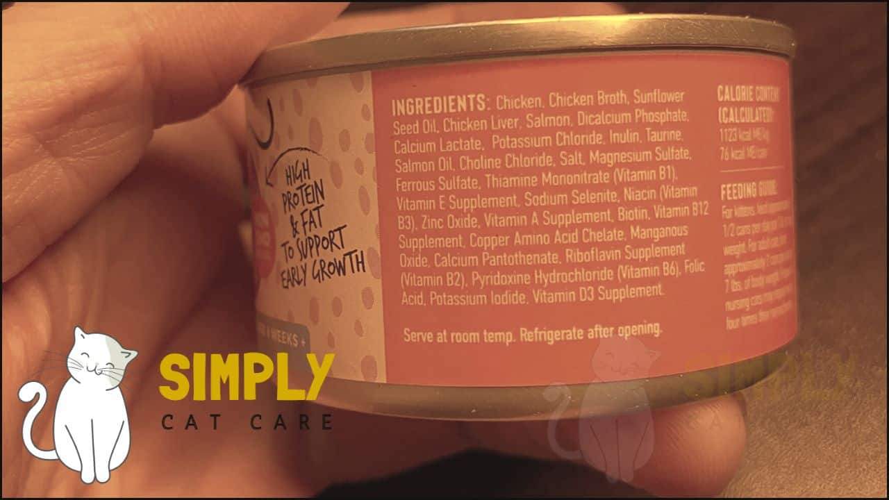 Honest Tiki Baby Cat Food Review 2024 - Simply Cat Care