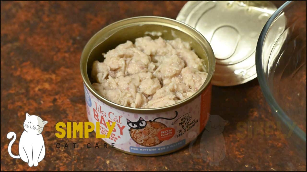Honest Tiki Baby Cat Food Review 2024 - Simply Cat Care