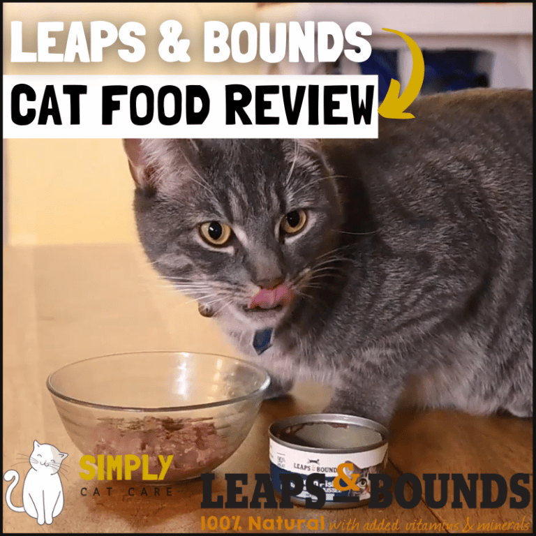Honest Optimum Cat Food Review in 2023