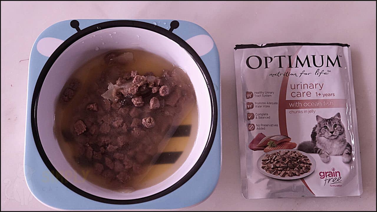 Honest Optimum Cat Food Review in 2023