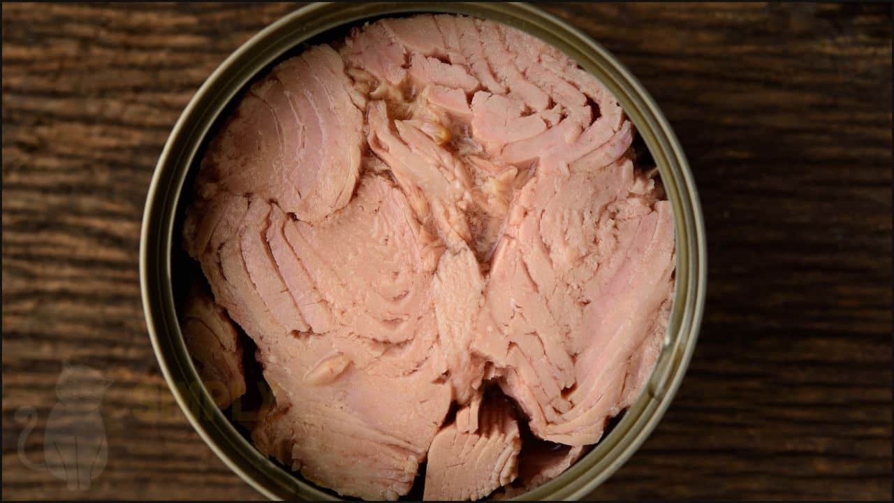 3 Best Cat Foods Without Fish Your Cat Will Love