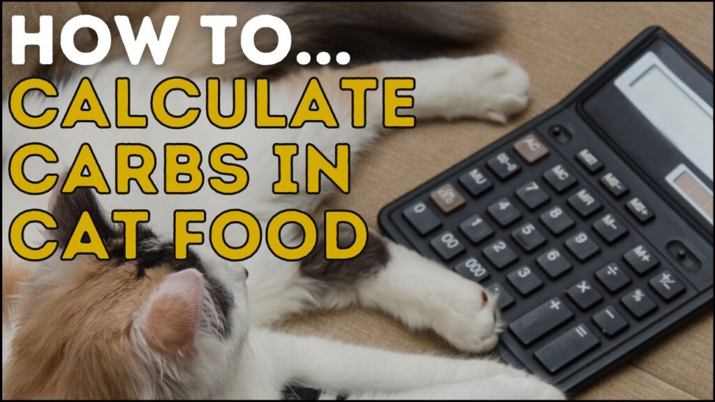 Easy Guide On How To Calculate Carbs In Cat Food Easy Guide On How To Calculate Carbs In Cat Food