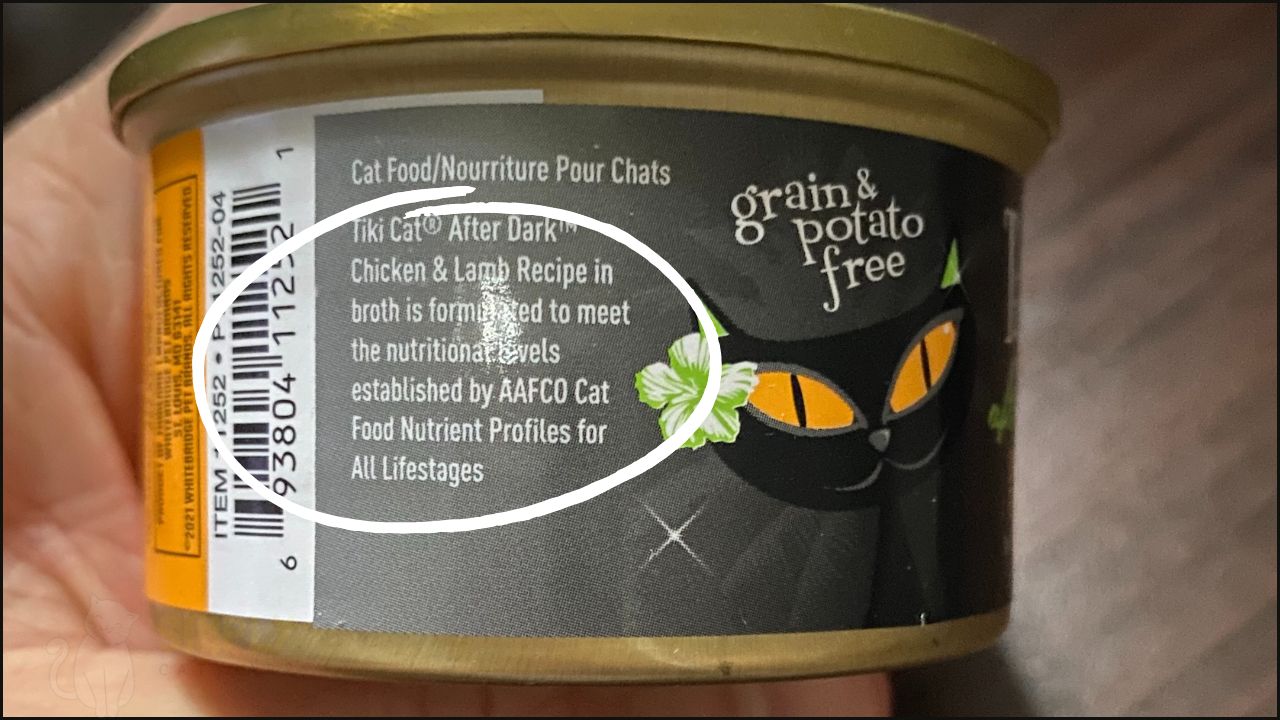 Easy Guide on How to Read a Cat Food Label in 2024