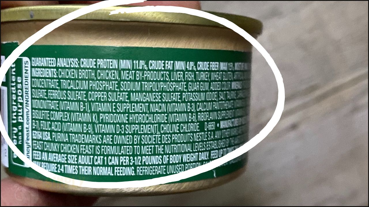 Easy Guide on How to Read a Cat Food Label in 2024