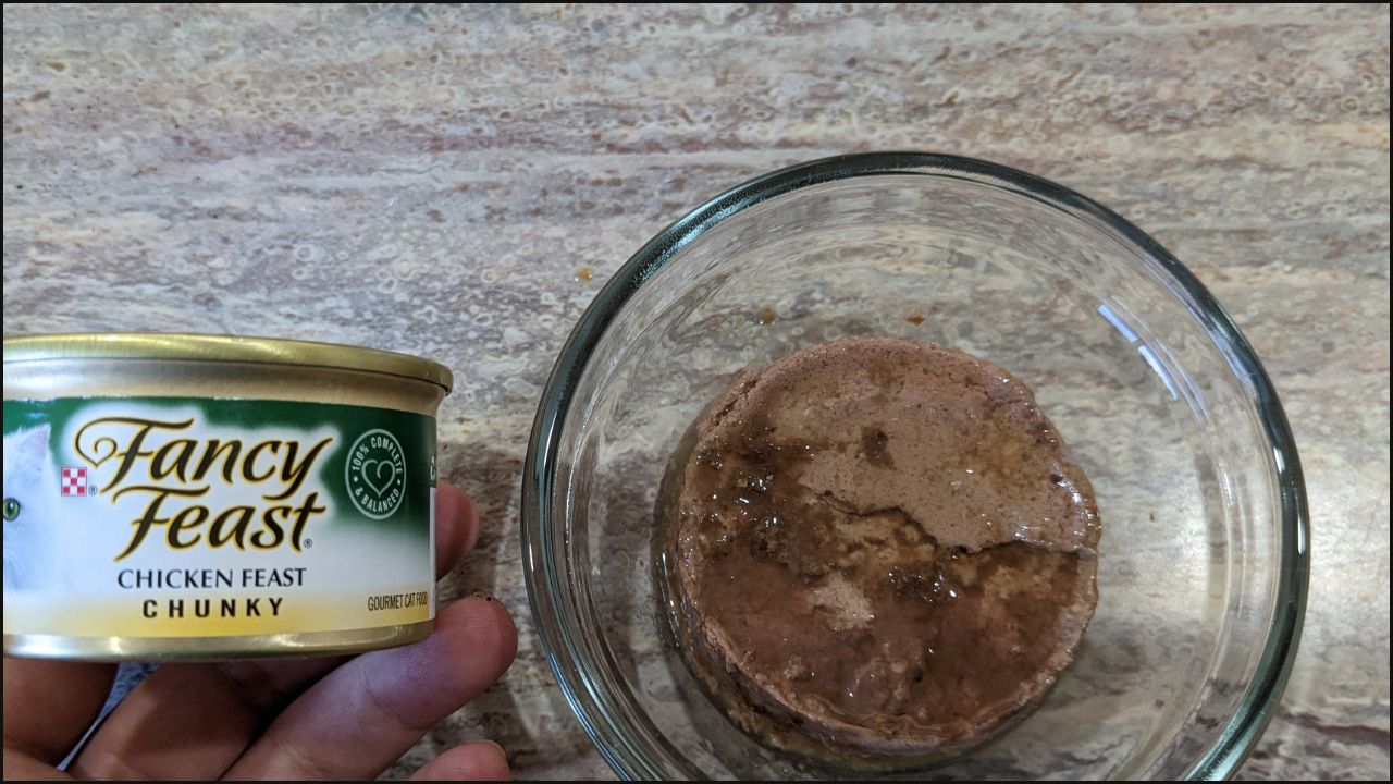 Honest Fancy Feast Cat Food Review in 2023