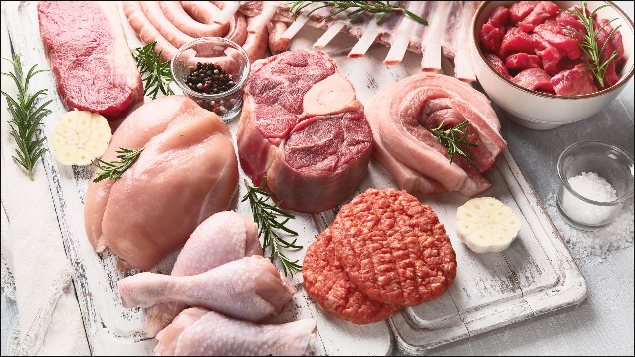 4 Best Cat Foods Without Pea Protein for Easy Digestion 2025