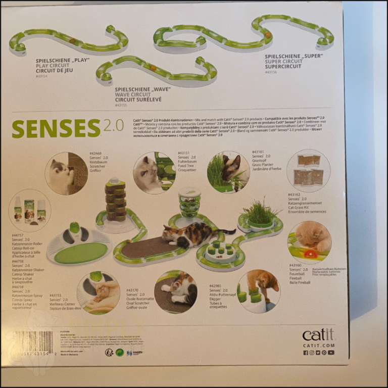 Honest Catit Play Circuit Review in 2023 (Kitten Tested)