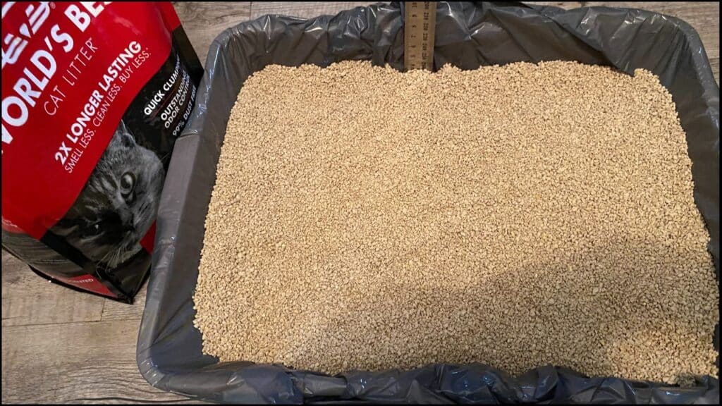 World’s Best Cat Litter Review: Is It Really Best?