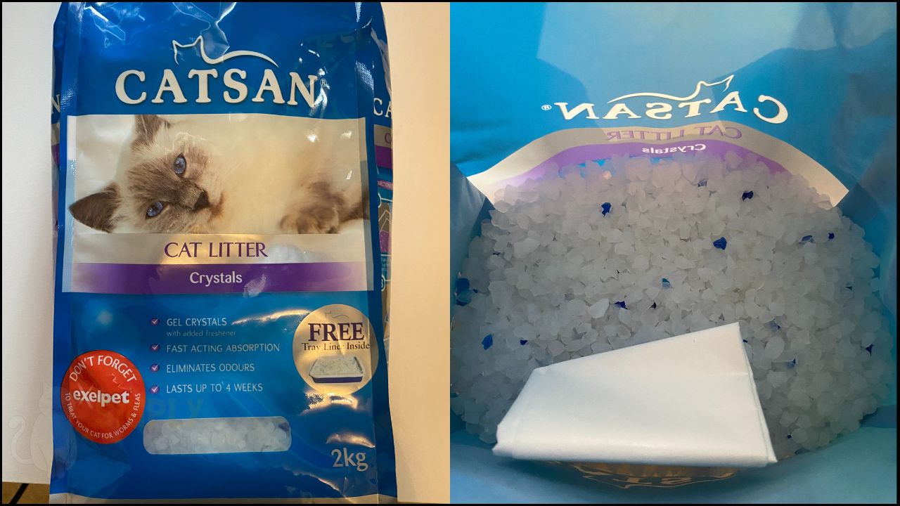 Honest Catsan Cat Litter Review in 2024