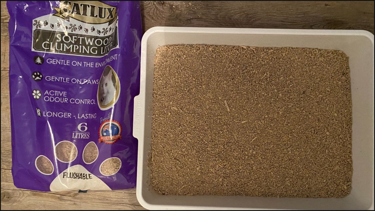 Honest Catlux Cat Litter Review (Tested With Cats) in 2026